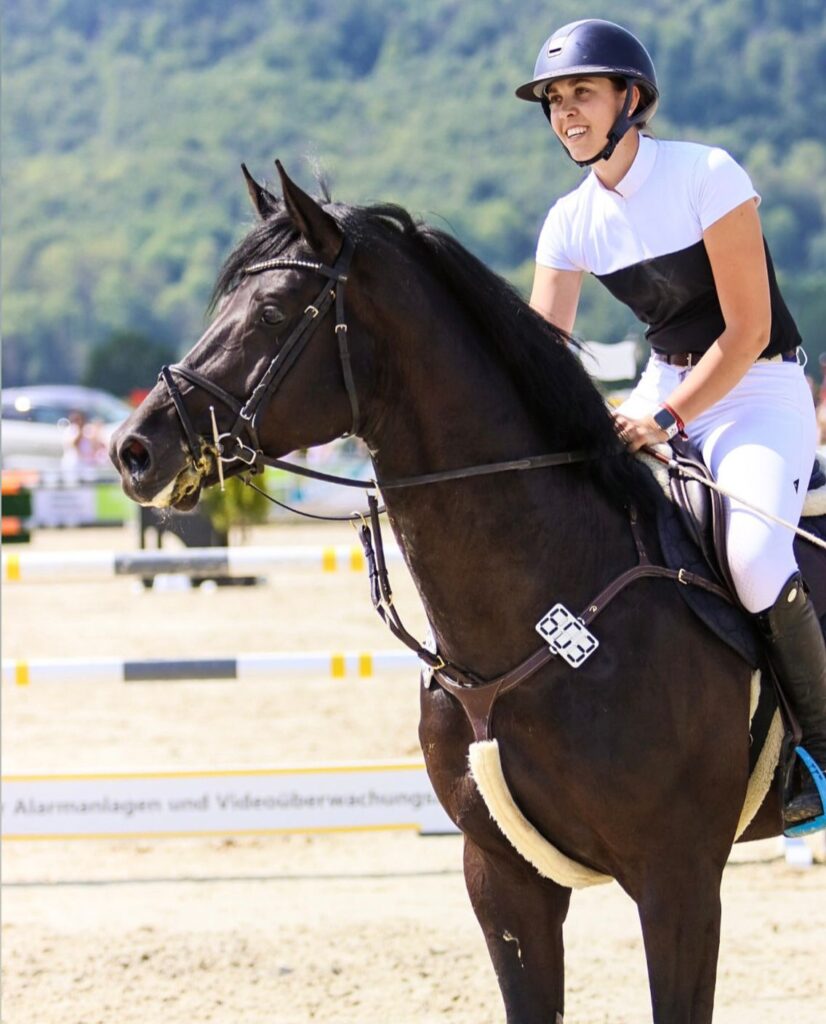 Breeding stallions Archive | Gestüt am Fuchsgarten