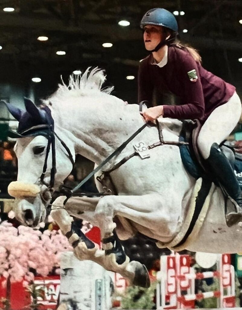 Pferde | Gestüt am Fuchsgarten